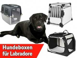 Hundebox Labrador | Top Modelle | Günstig!