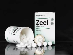 ZEEL vet für den Hund - weil es hilft! Alle Infos findest Du hier!